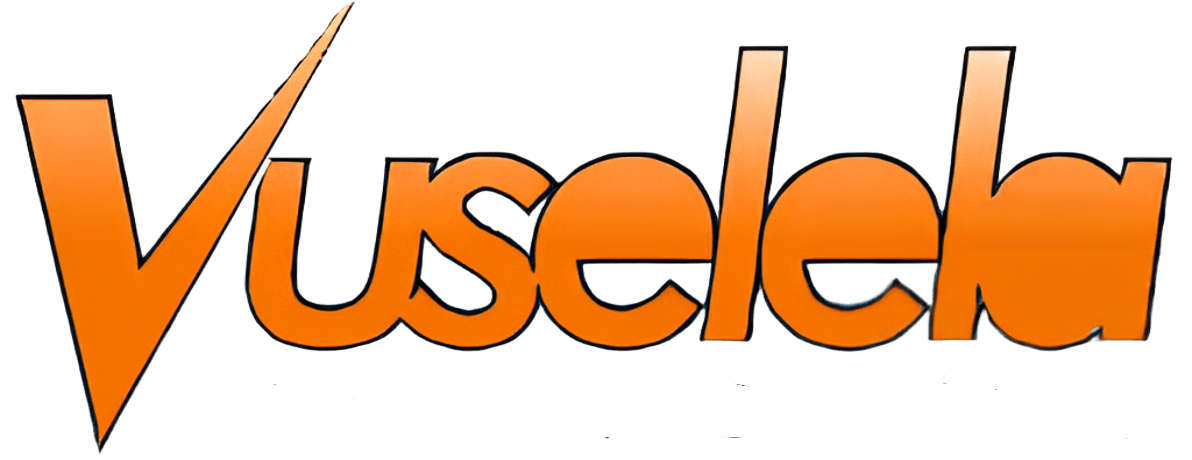 Vuselela | Tailored Recruitment Solutions for South Africa